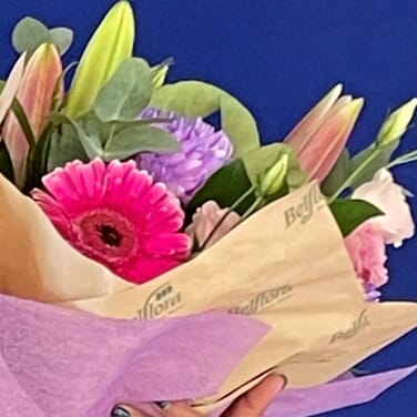 Molycop News | Molycop